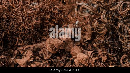 Waste Material from Lathe Machine Stock Photo - Alamy