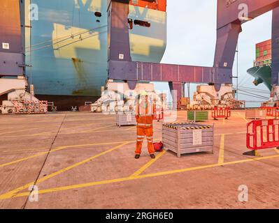 Dock worker at Port of Felixstowe, England Stock Photo - Alamy