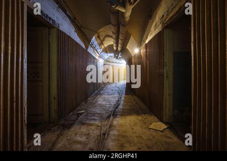 Old vaulted corridor of Soviet bunker, echo of Cold War Stock Photo - Alamy