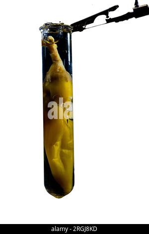 Objects Things Different Isolated Against White Background Stock Photo ...