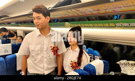 The Guiyang-Libo section of the Guiyang-Nanning High-speed Railway ...