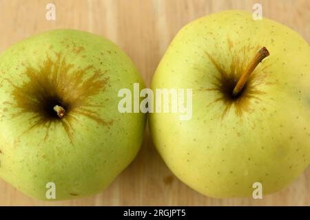 Malus domestica 'Golden Spur' Picked apples September Stock Photo - Alamy