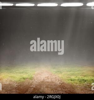 Grass inside the football stadium Stock Photo - Alamy