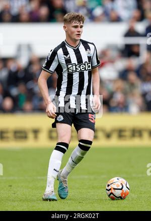 Alex Murphy of Newcastle United during the Carabao Cup Quarter Final ...