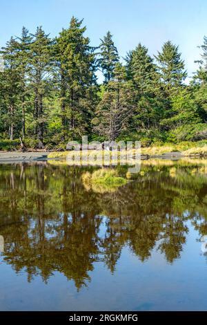 A landscape photo of the Moclips River in Washington State Stock Photo ...
