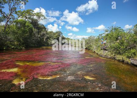 Caño Cristales, also known as the River of Five Colors, is a Colombian ...