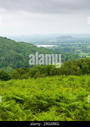 View towards Cheddar and Cheddar Reservoir, Somerset, England, UK, from ...