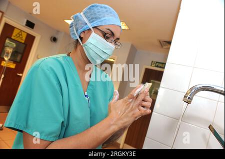 Veterinary surgeon washing hands before operating Stock Photo - Alamy