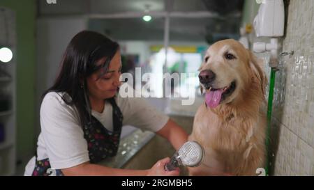 Happy Brazilian Employee Washing Dog at Pet Shop Stock Photo - Alamy