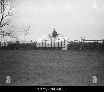 Upperville fox hunt Stock Photo - Alamy