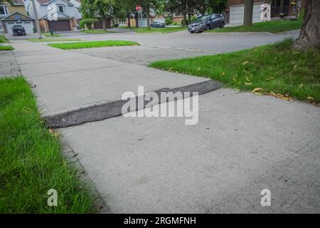 Root heave or pavement heave causing sidewalk damage, Vancouver, BC ...