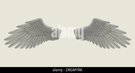 Set of bird or angel wings engraved sketches vector illustration Stock ...