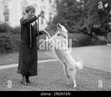 Mrs. Coolidge with her dog "Rob Roy" ca. 1924 Stock Photo - Alamy