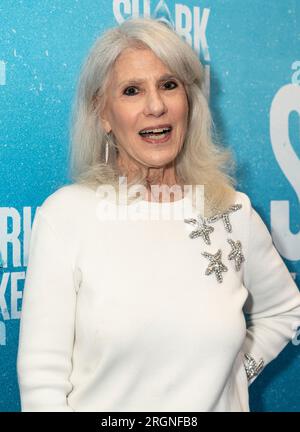 Jamie deRoy attends Opening night for 'The Last Ship' musical starring ...