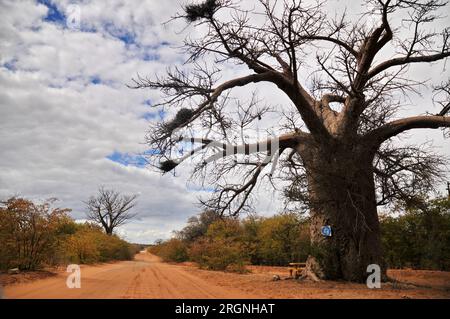 The Tshipise area of north eastern Limpopo boasts one of the largest ...