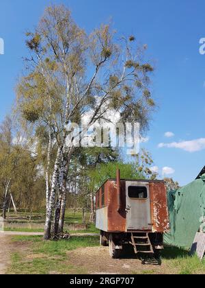 Old farm trailer in the bushes. Wooden sides. Museum object. Abandoned ...