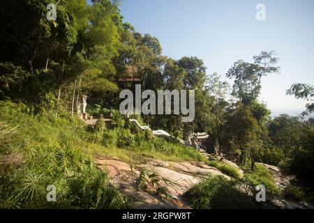 Wat Phra Lat in Chiang Mai. Temple of a Buddhist monastery with statues ...