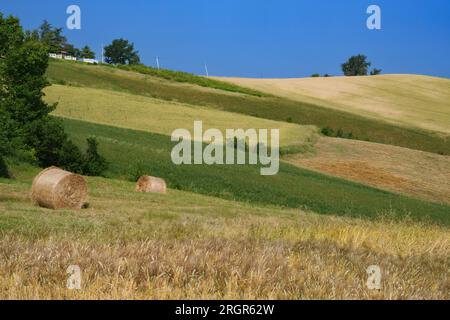 Rural landscape on the Tortona hills, Alessandria province, Piedmont ...
