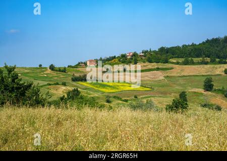 Rural landscape on the Tortona hills, Alessandria province, Piedmont ...