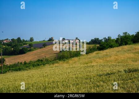 Rural landscape on the Tortona hills, Alessandria province, Piedmont ...