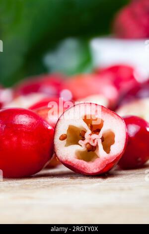 pulp and seeds of mature sour cranberries, cranberry berries divided ...