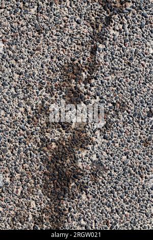 traces of road repairs, part of an asphalt road with damage and stains ...