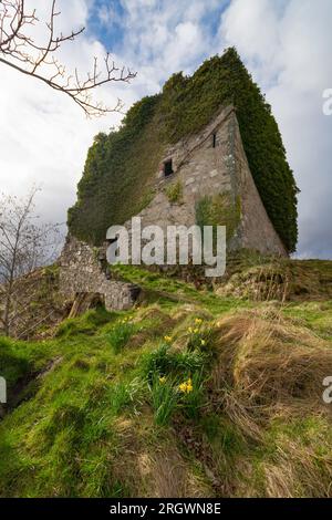 Castle Lachlan, Loch Fyne, Scotland Stock Photo - Alamy
