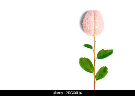 Creative flourishing mind concept: Brain flower composition made from a ...