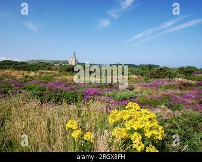 Restored engine house, Wheal Kitty, St Agnes, Cornwall Stock Photo - Alamy