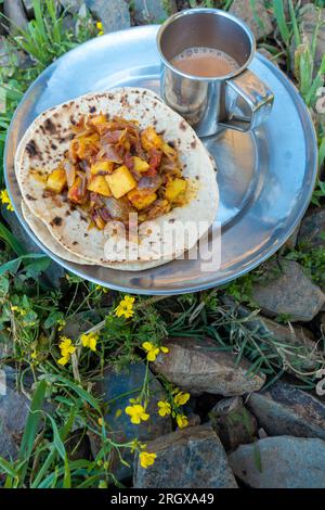 Indian Roti-Sabzi ( Indian bread and vegetable curry) food platter in ...