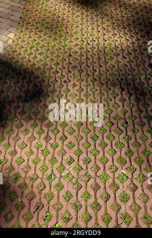 part of the highway made of concrete slabs and tiles, part of the road ...