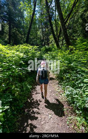 The Neah Bay at Olympic National Park Stock Photo - Alamy