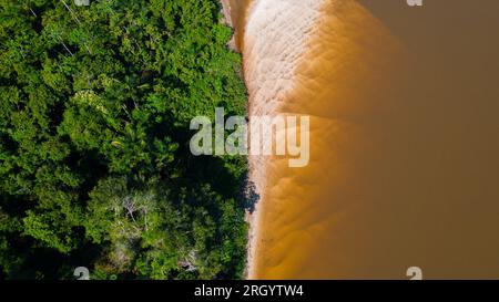 The Amazon rivers in the summer season present white sand beaches ...
