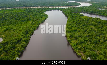 The Amazon rivers in the summer season present white sand beaches ...