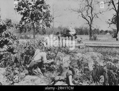 WW2 March 1945 Allied army trucks crossing the Bailey pontoon bridge ...