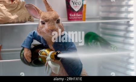 PETER RABBIT 2: THE RUNAWAY (2021), directed by WILL GLUCK. Credit ...
