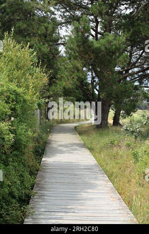Raised wooden walkway coastal footpath on Pointe de Duer, Sarzeau ...