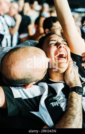 Fans cheer in the stands during a UFL football game between the Orlando ...