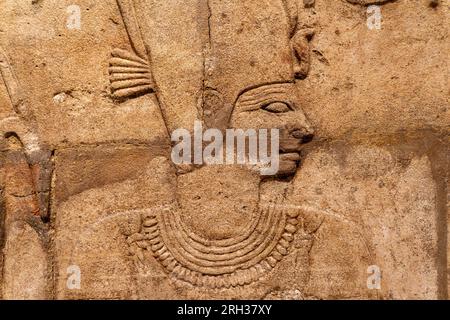 Details on the wall of Pharaoh Taharqa's shrine to Amun-Re, the ...