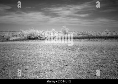 Prairie State Park in Liberal, Missouri Stock Photo - Alamy