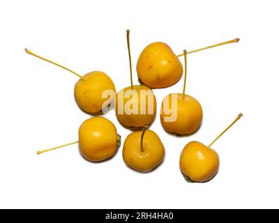 Chinese apples. Yellow small apples. early fruit on a white background ...
