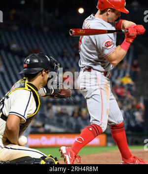 Pittsburgh Pirates catcher Endy Rodríguez (5) during an MLB Spring ...