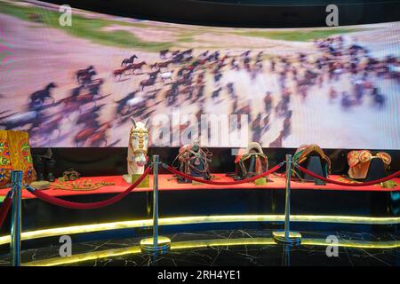 A display of a horse in fancy gear, tackle, a horse skeleton and ...