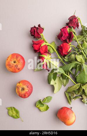 Withered, decaying, roses flowers and apples on brown wooden background ...