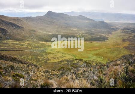 Trail to Ruminahui volcano, Cotopaxi National Park, Ecuador Stock Photo ...