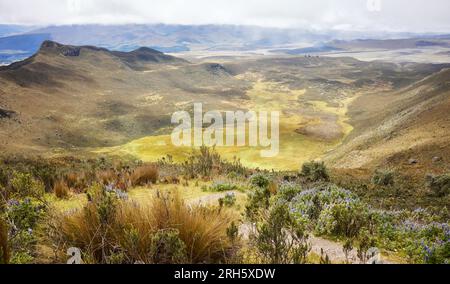 View from the trail to Ruminahui, Cotopaxi National Park, Ecuador Stock ...