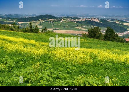Rural landscape on the Tortona hills, Alessandria province, Piedmont ...