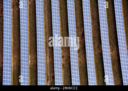 Solar panels generate green energy in the Gobi Desert of Zhongning ...