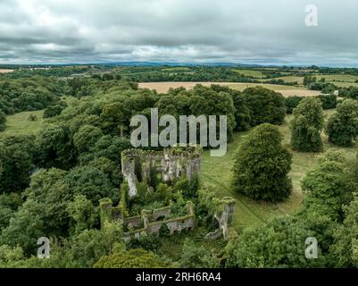 Aerial view of ruined and overgrown Buttevant or Barry's castle on the ...