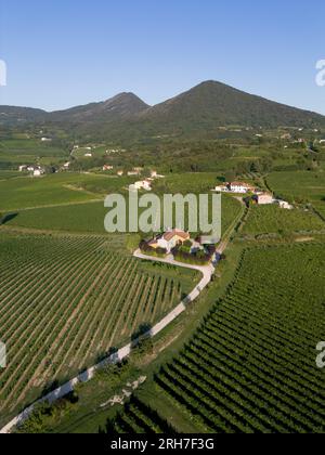 Rural landscape on the Colli Euganei, in Padua province, Veneto, Italy ...